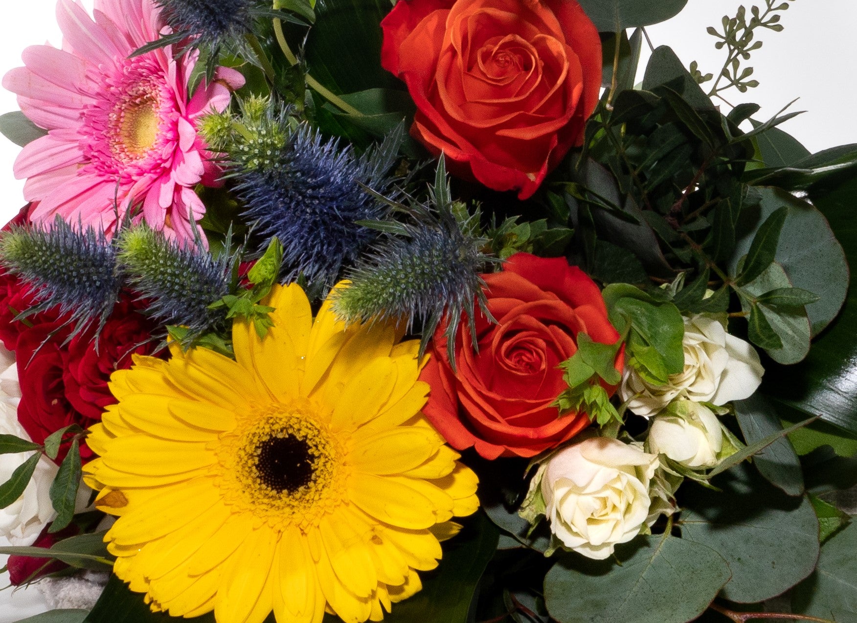 Designer's Choice | Eight Petals Flower Shop