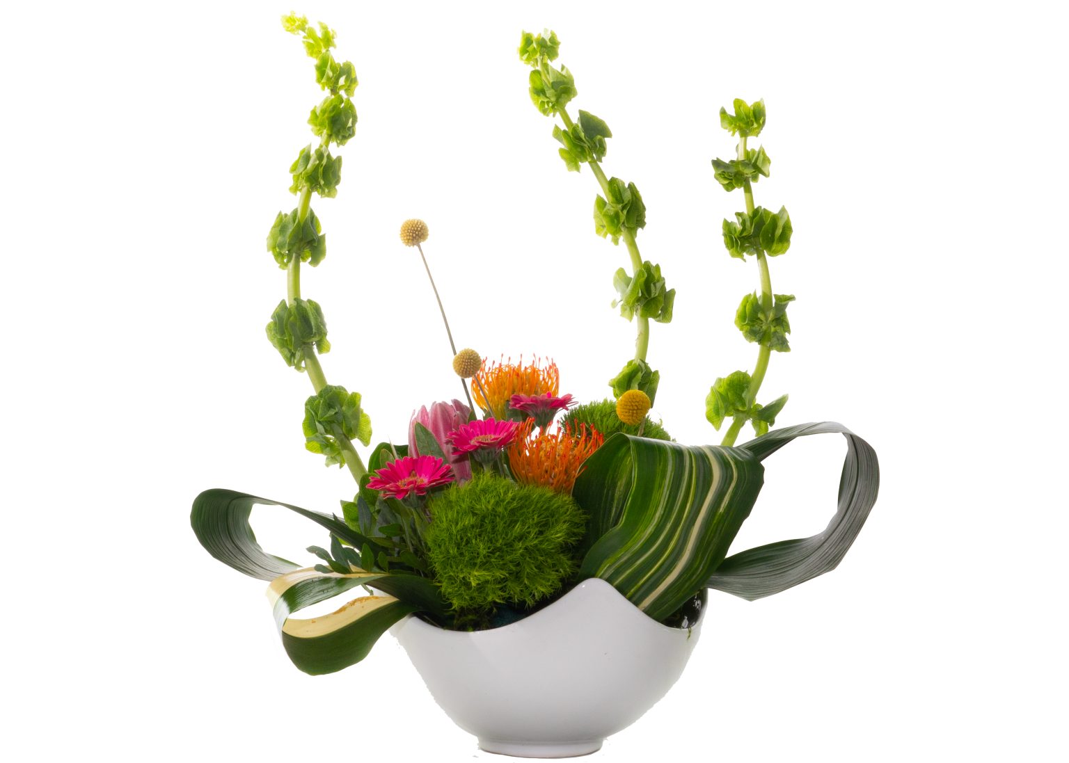 Lethbridge Flower Shop & Delivery | Eight Petals Flower Shop | Local ...
