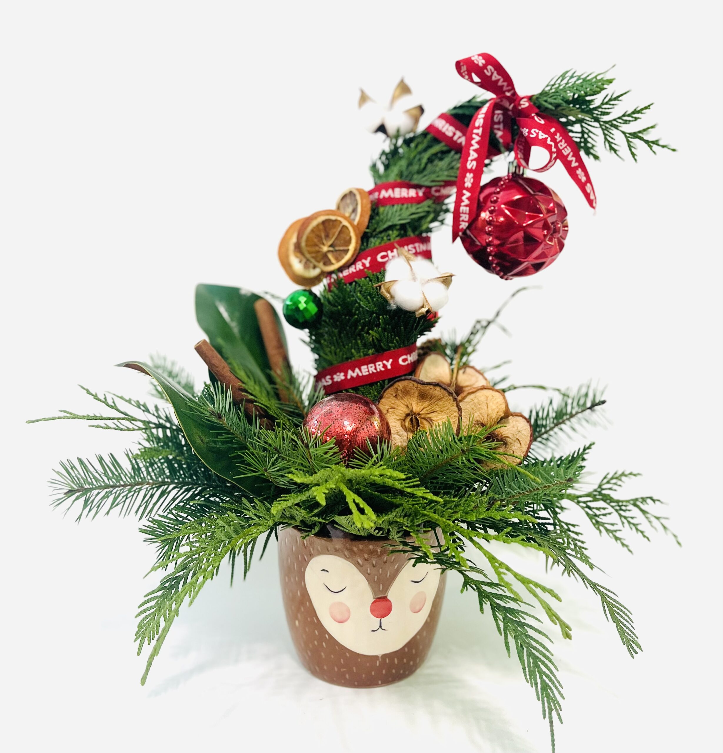 Rudolph the Red Nose Reindeer | Eight Petals Flower Shop